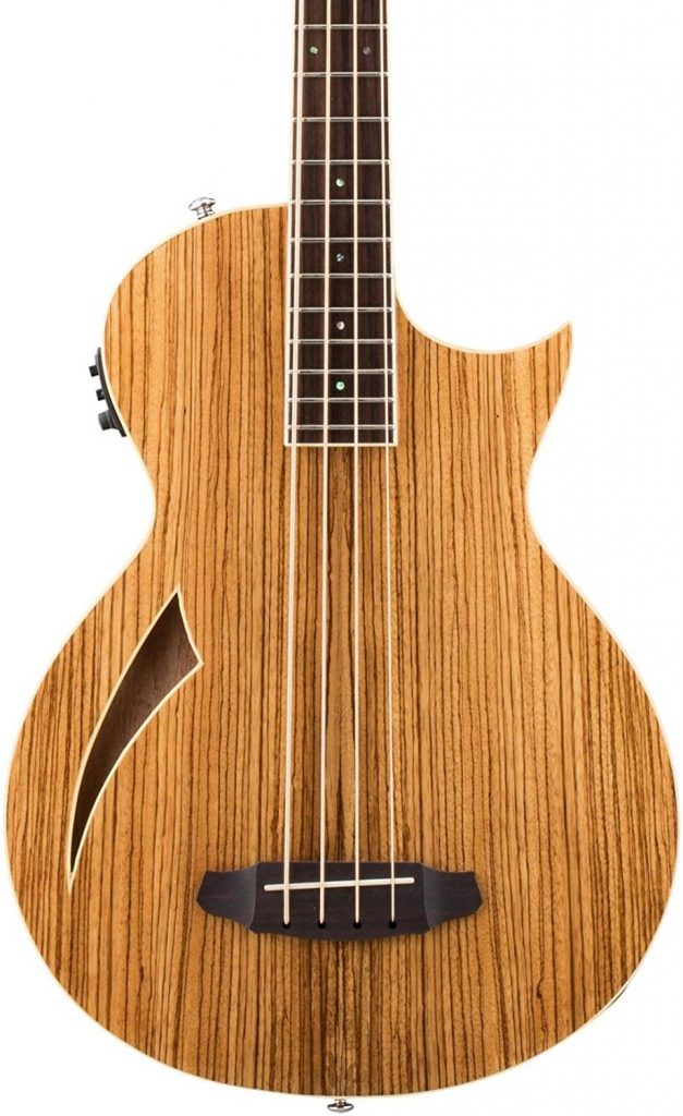 Best Acoustic Bass Guitars 2021 - Bassist HQ