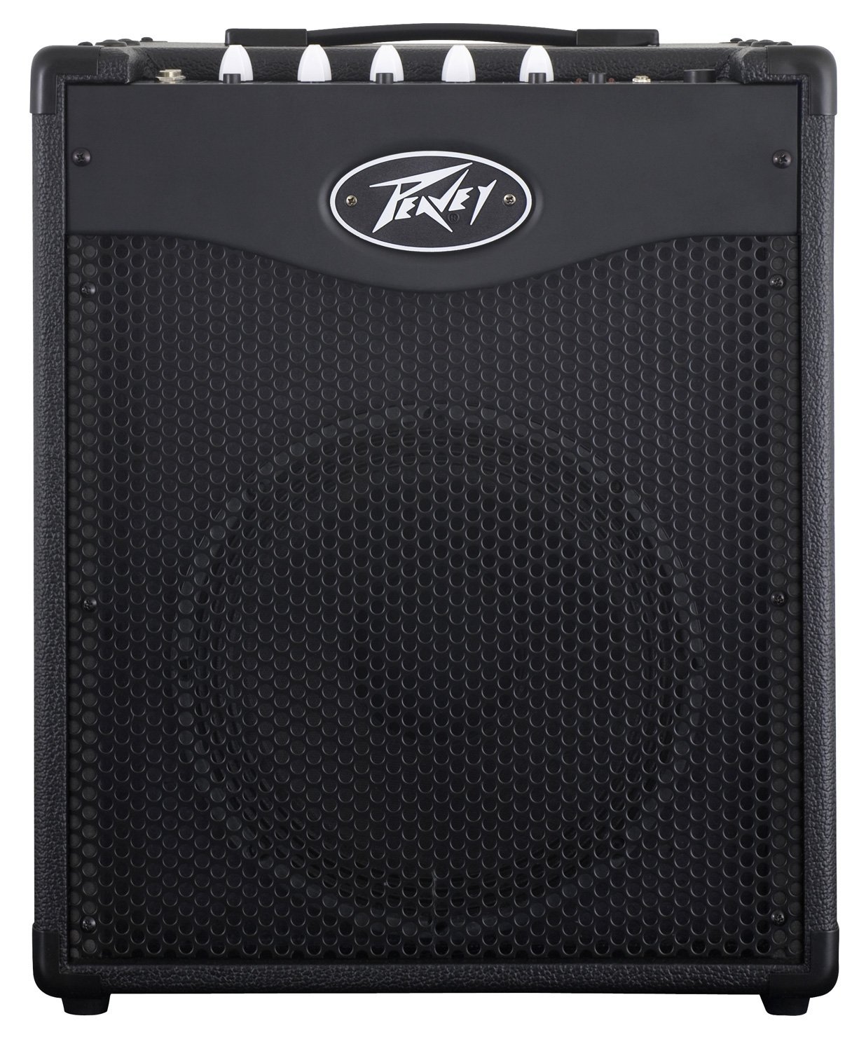 Best Bass Guitar Amps 2021 - Bassist HQ